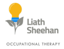 SP285-22 Introduction to Executive Functioning -Primary - Navan ...